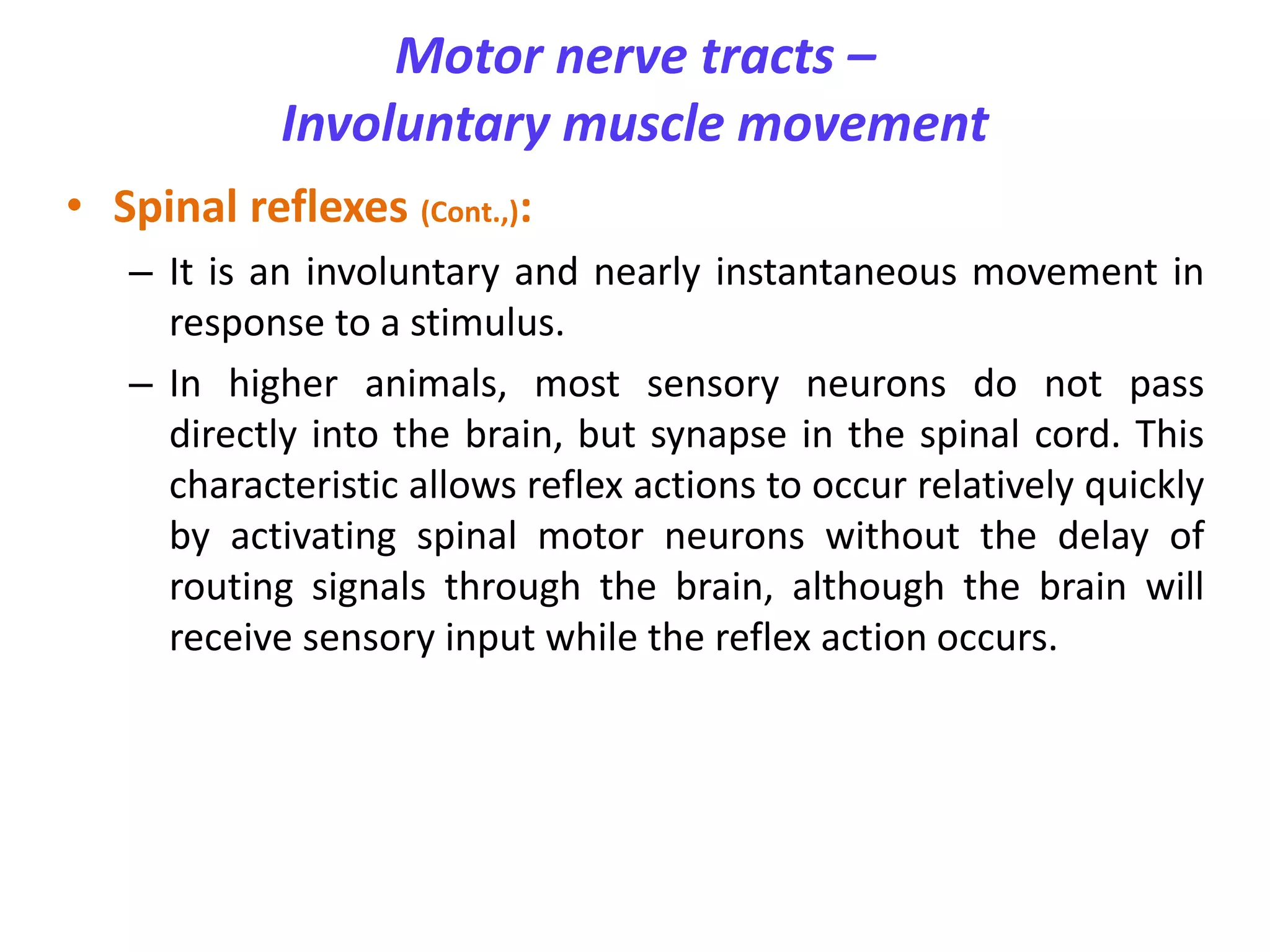 Sensory and motor pathways | PPTX