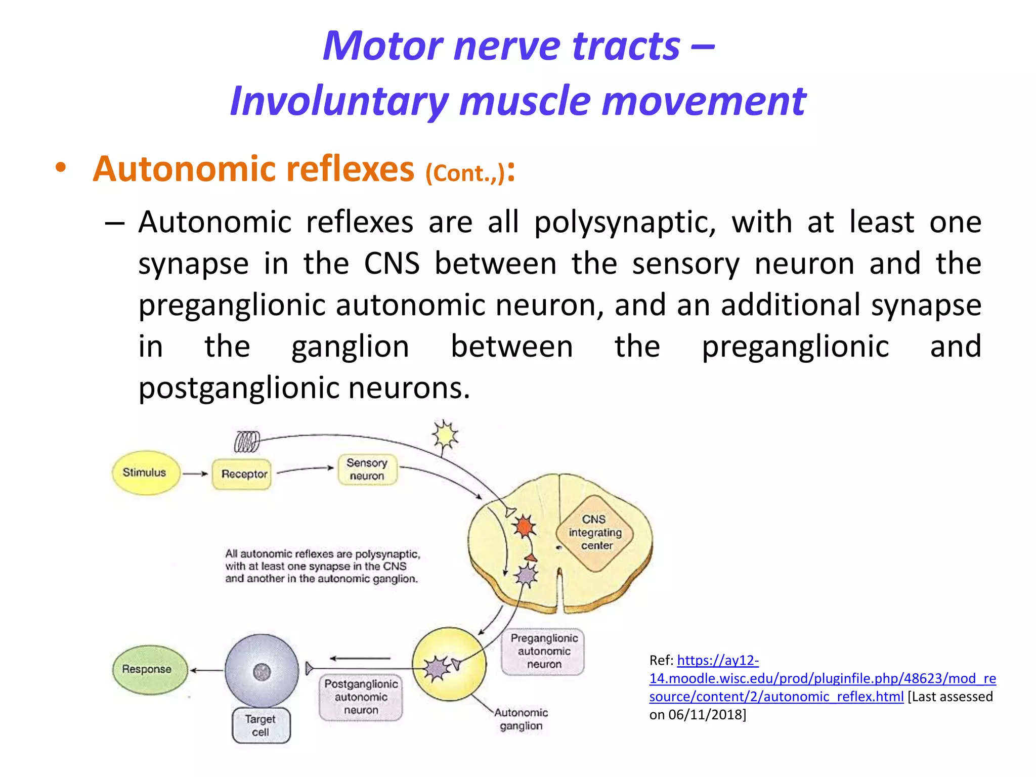 Sensory and motor pathways | PPTX