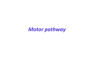 Sensory and motor pathways | PPTX