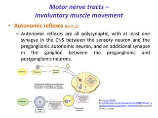 Sensory and motor pathways | PPTX