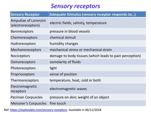 Sensory And Motor Pathways Diagram The Ascending Tracts