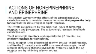 L 2 The Adrenal Medullary Hormones-1.pptx