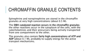 L 2 The Adrenal Medullary Hormones-1.pptx