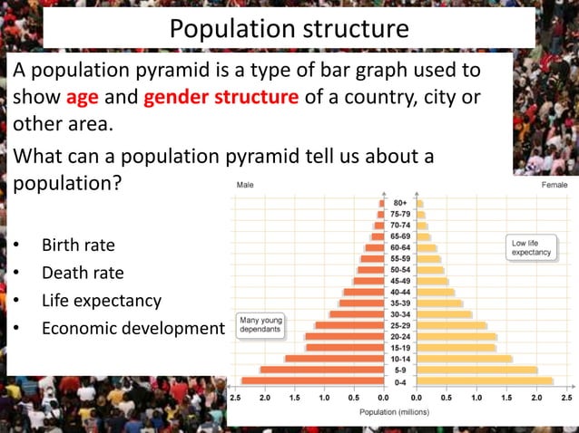 L2 ap factors affecting population growth | PPT