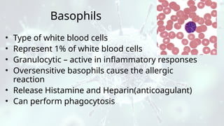 L2a_Phagocytes, Mast Cells, Basophils and Eosinophils.pptx
