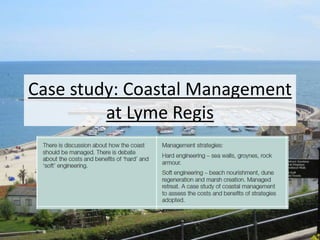 L2 ap lyme regis management ag | PPT