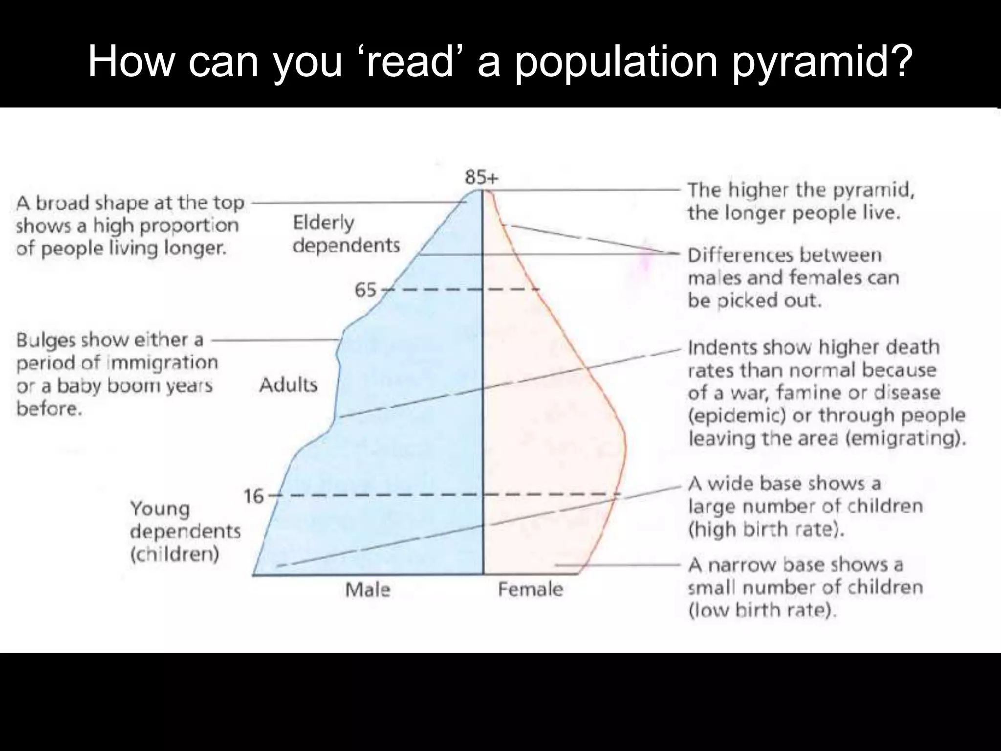 L2 ap population pyramids | PPTX | Geography | Science
