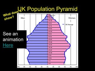L2 ap population pyramids | PPTX