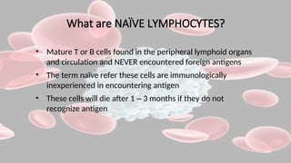 L2b_APC lymphocytes innate lymphoid cells.ppt