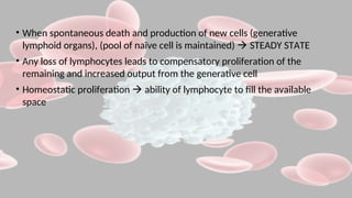 L2b_APC lymphocytes innate lymphoid cells.ppt