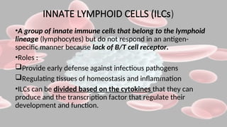 L2b_APC lymphocytes innate lymphoid cells.ppt