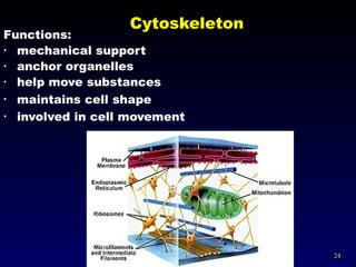 L2 Cell Units structure and function 24-09-2023.ppt