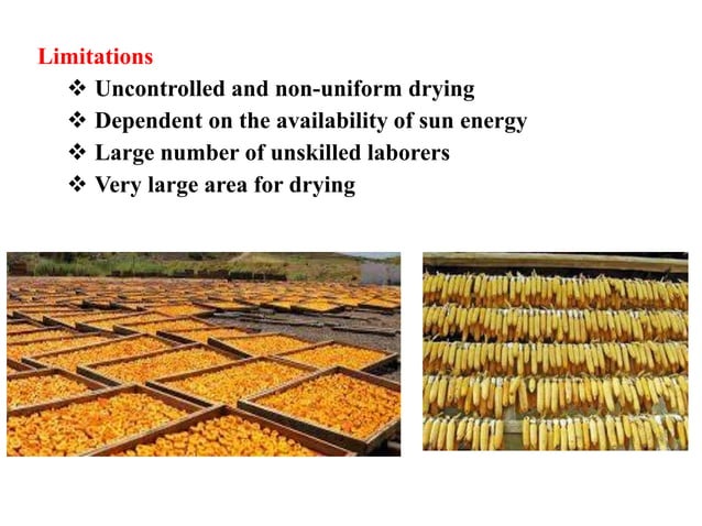 Drying & dehydration of horticultural crops | PPTX | Weather | Science