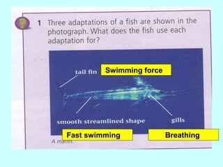 Lesson 2 environmental factors 1 | PPT