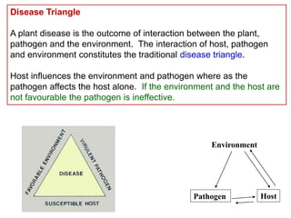 L 2 epidemiology grt ppt gta fisher lkg l | PPT