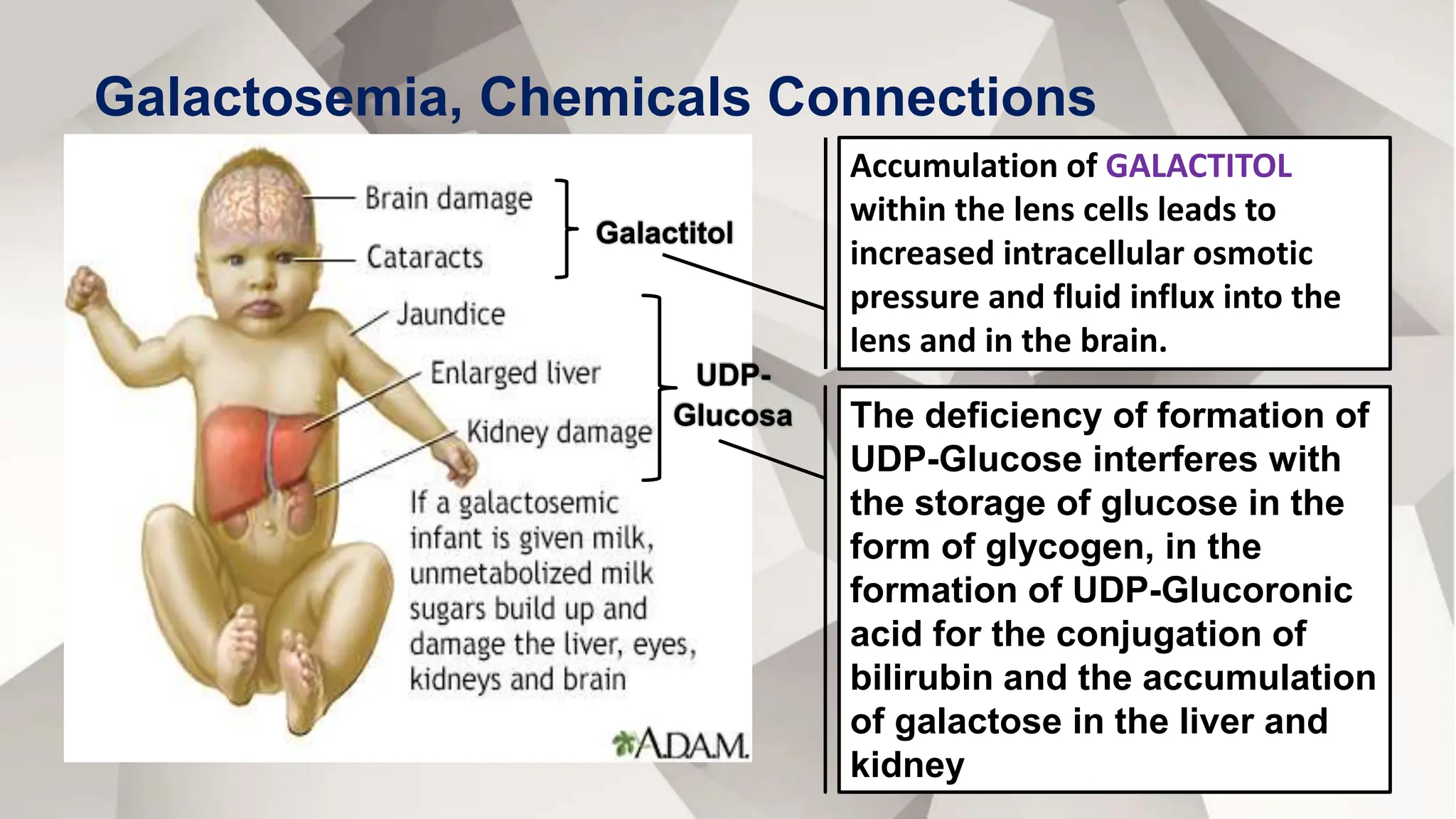 GALACTOSEMIA ASCORBATE OBESITY.pptx