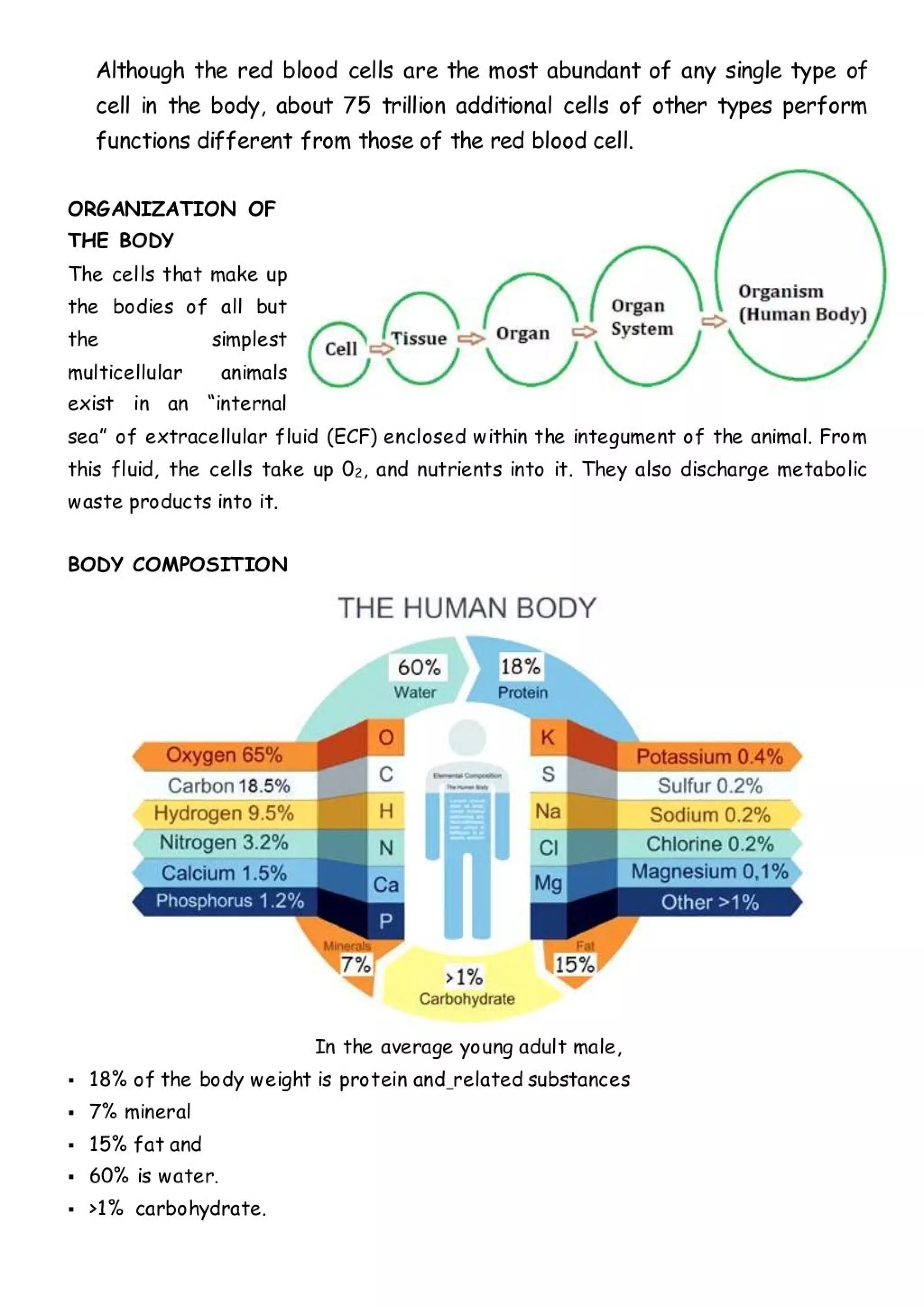 L 2 general-physiology- homeostasis.pdf