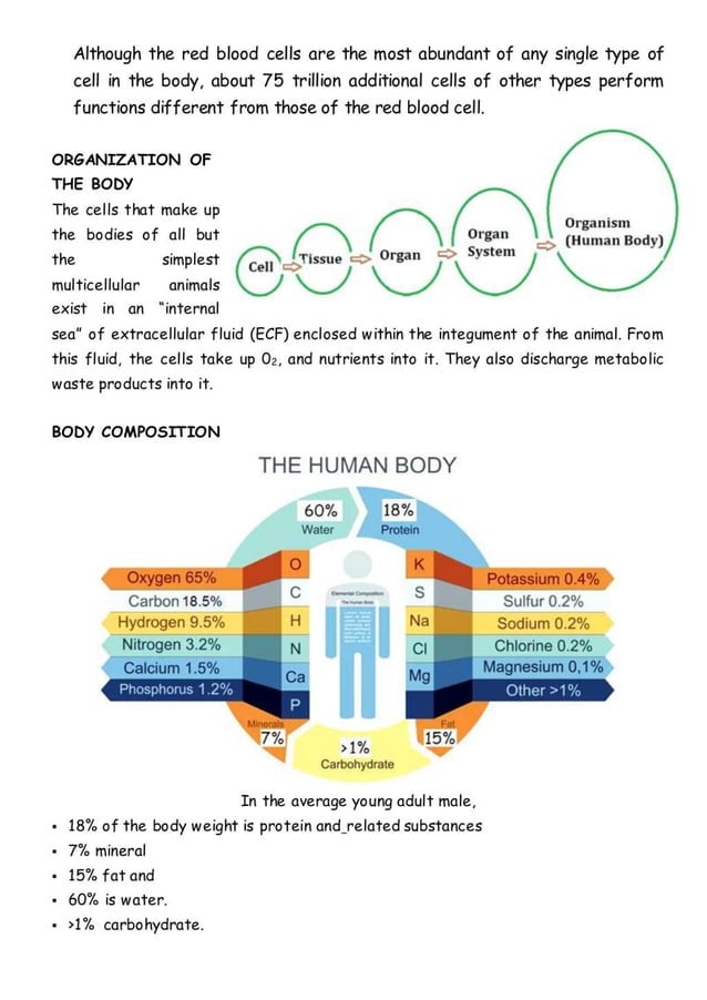L 2 general-physiology- homeostasis.pdf
