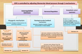 Working of GFR presentation and detaikspptx | PPTX