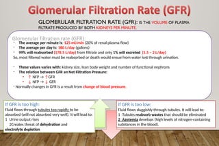 Working of GFR presentation and detaikspptx | PPTX