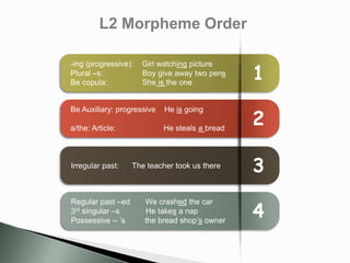 L2 interlanguage development | PPT