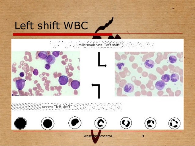 L2 introduction wbc2017 student