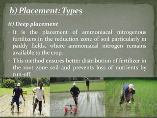 Methods of fertilizer application | PPTX