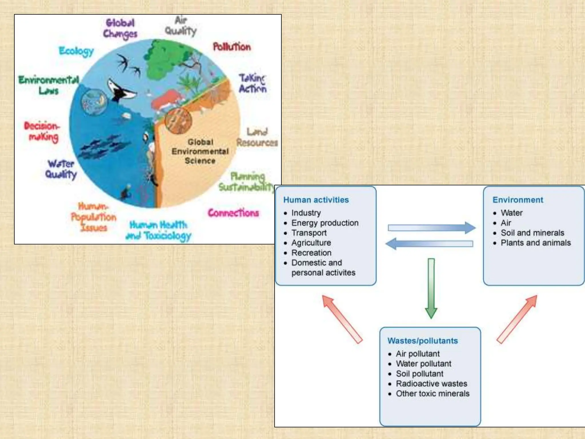 Environmental System, ecosystem and ecosphere | PPTX