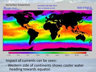 L2 morphology and oceanic water | PPTX | Geography | Science