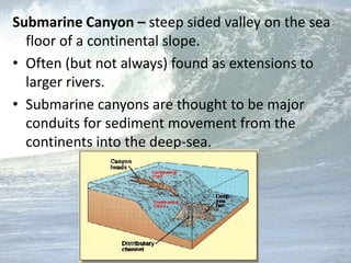 L2 morphology and oceanic water | PPTX | Geography | Science