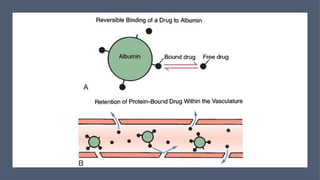 DRUG INTERRACTIONS, LECTURE NOTES FOR PHARMACY STUDENTS | PPTX