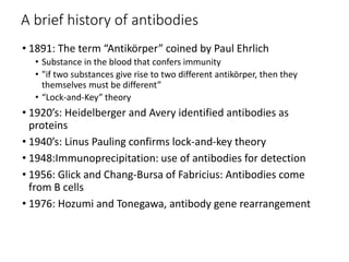 L2 Practical immunology.pdf