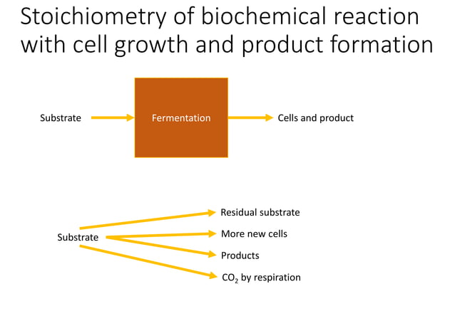 Lesson2 Stoichiometry and mass balance.pdf