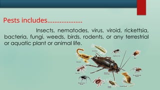 L2_The Biological World and Its Balancing Mechanism.pptx