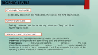L2_The Biological World and Its Balancing Mechanism.pptx