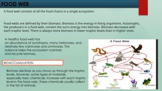 L2_The Biological World and Its Balancing Mechanism.pptx