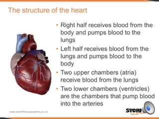 L2 the circulatory system | PPTX | Heart and Cardiovascular Diseases ...