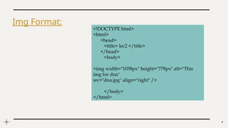 L2Web-intro to web development in html,css.pptx