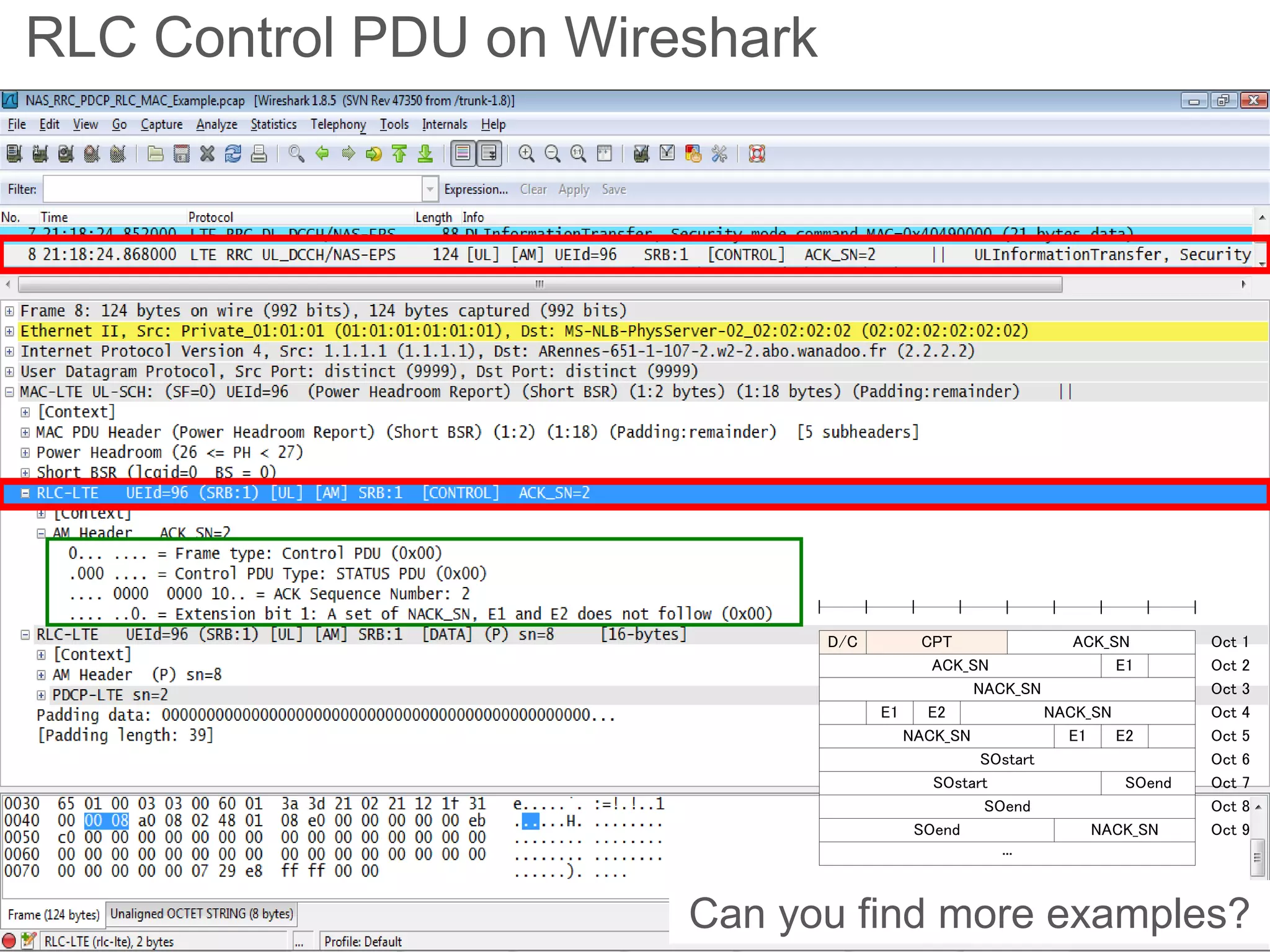 L2_Wireshark.ppt