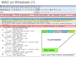 L2_Wireshark.ppt