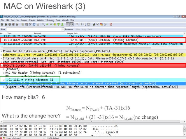 L2_Wireshark.ppt