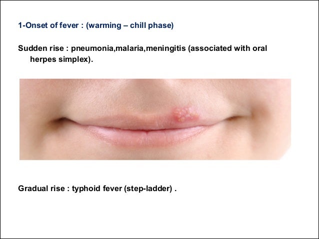 L3.approach to fever