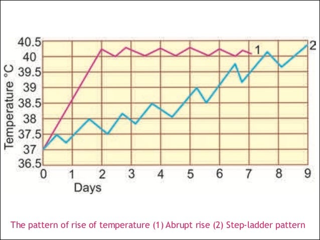 L3.approach to fever