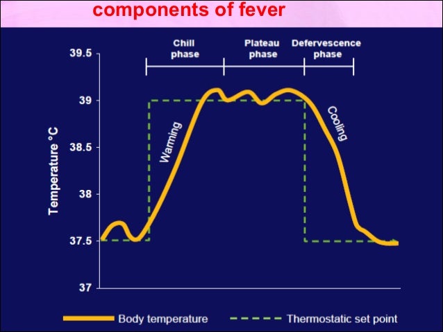 L3.approach to fever