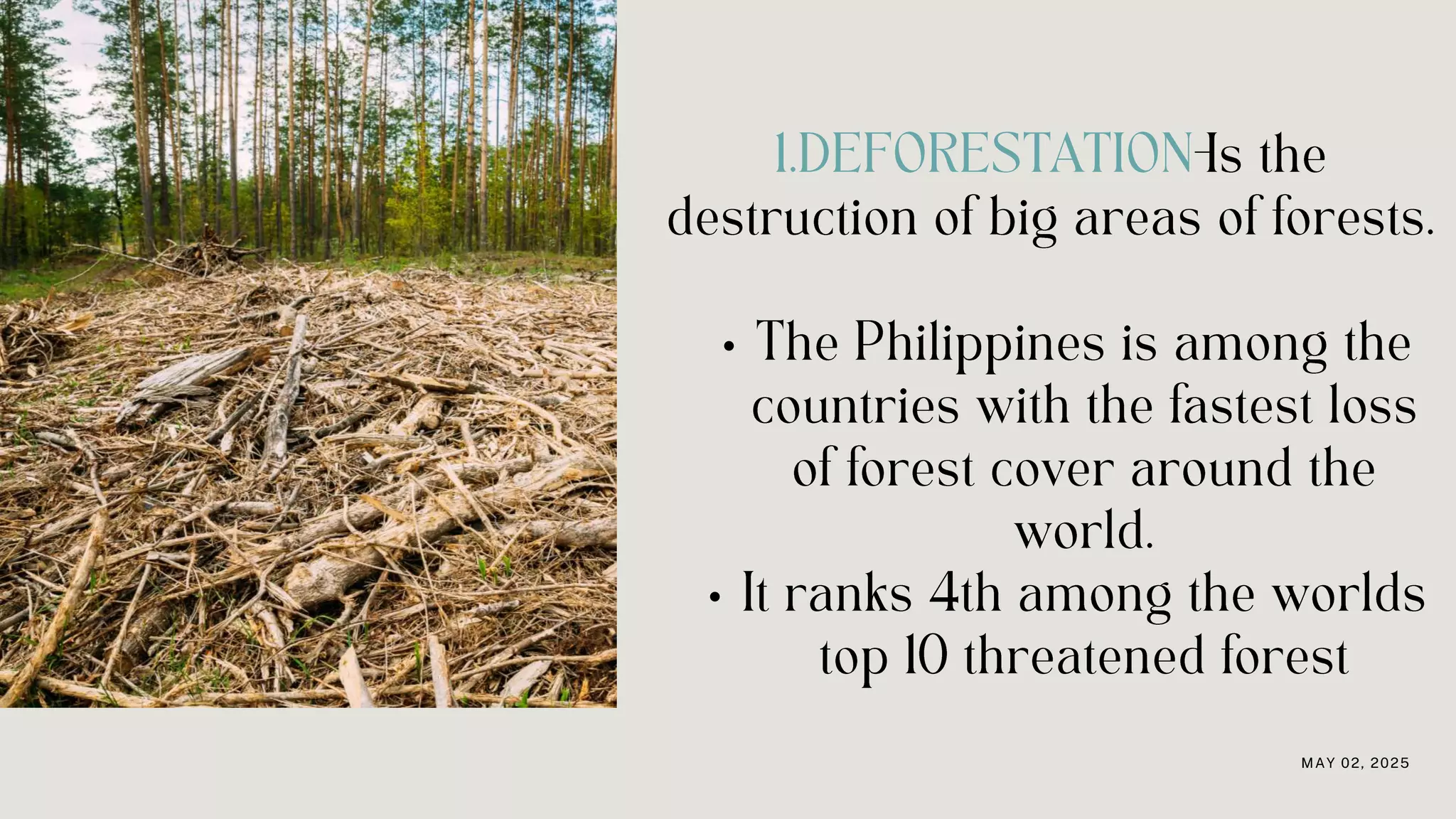 L3. ENVIRONMENTAL PROBLEMS IN THE PHILIPPINES.pptx