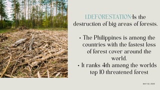 L3. ENVIRONMENTAL PROBLEMS IN THE PHILIPPINES.pptx