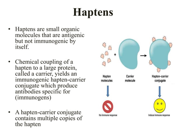 L3.0 Antigen,Hapten and Immunogen.pptx | Chemistry | Science