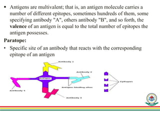L3.0 Antigen,Hapten and Immunogen.pptx