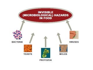 Factors contributing to physical, chemical and biological contamination ...