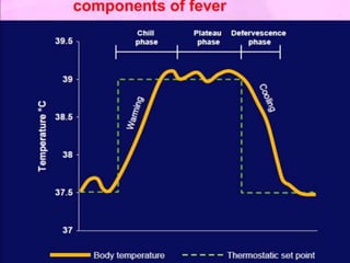 L 3 4.approach to fever | PPT